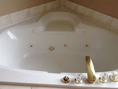 Image result for SoClean Water Tub