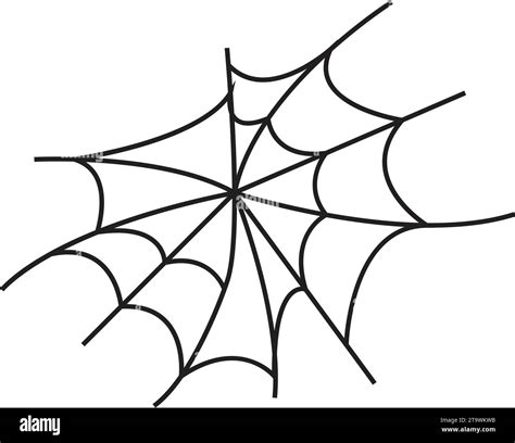 Image result for Spider Web Net
