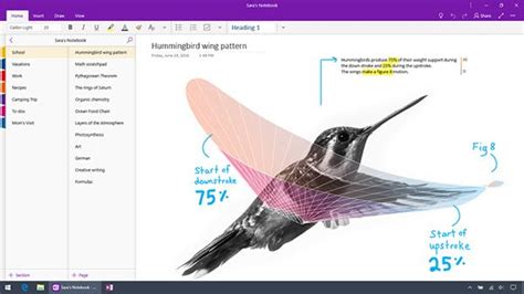 Image result for OneNote Oder OneNote Fur Windows 1.0
