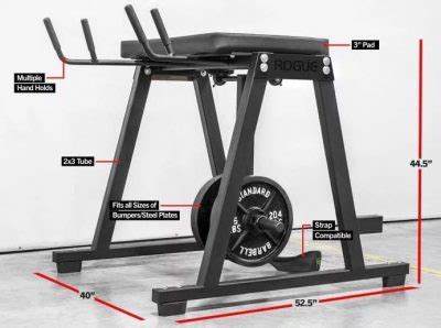 Image result for Reverse Hyper How To