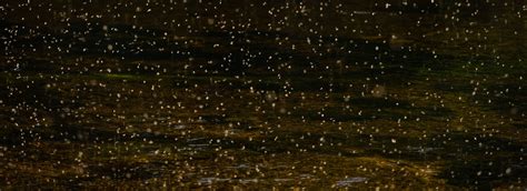 Image result for Fly Vision Range