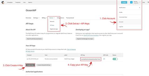 Image result for How to Get MailChimp API Key