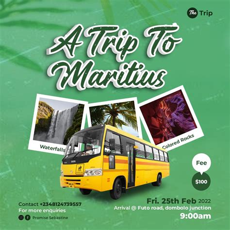Image result for Excursion Flyer Design