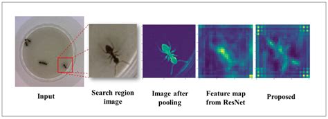Image result for Feature Extraction Table