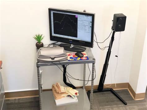 Image result for Real-Ear Measure Control Microphone