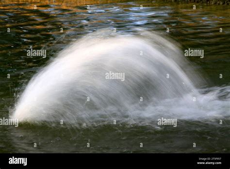 Image result for Jet Flow