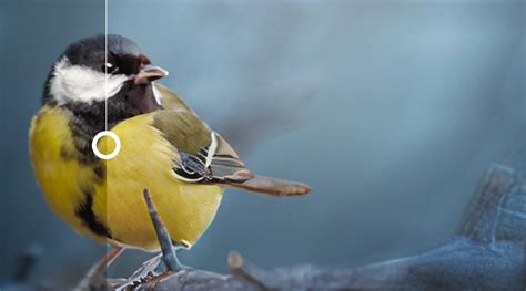 Image result for Jpeg Enhancer