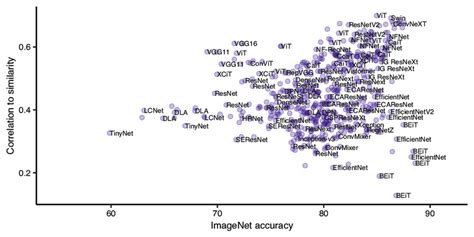 Image result for Human Image Net Accuracy