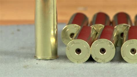 Image result for Small Shotgun Shells
