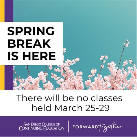 Image result for Ce Spring Break