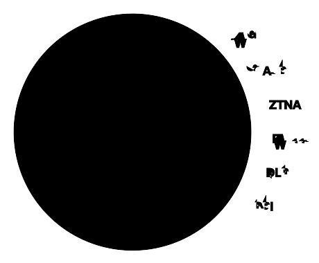 Image result for SSE Tutorial