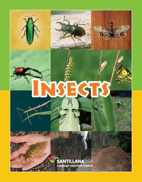 Image result for Insects Book Audio
