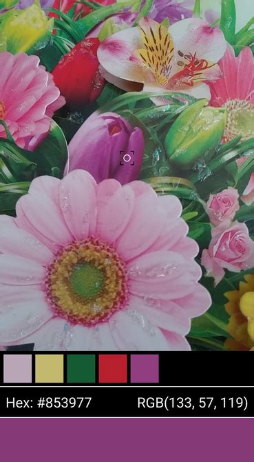 Color Detector by OlDenWeb | CodeCanyon