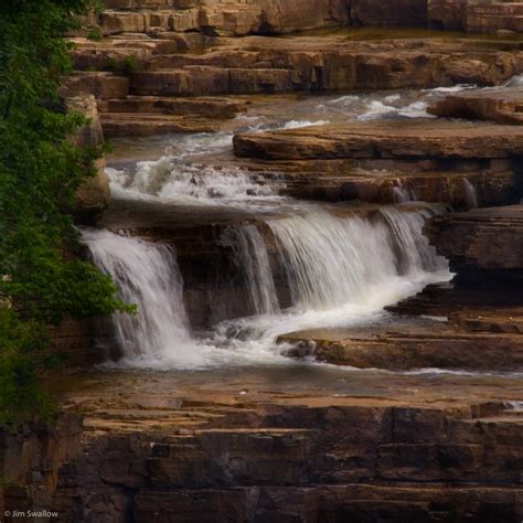 Image result for Selection Project Square Photo