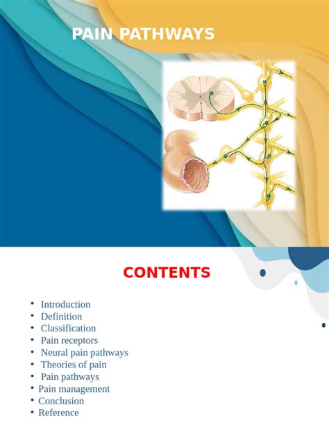 Image result for Pain Management Pathways