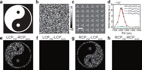 Image result for Geometric Phase Metasurface