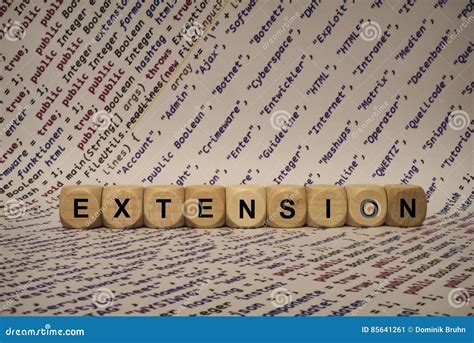 Image result for Extension Word
