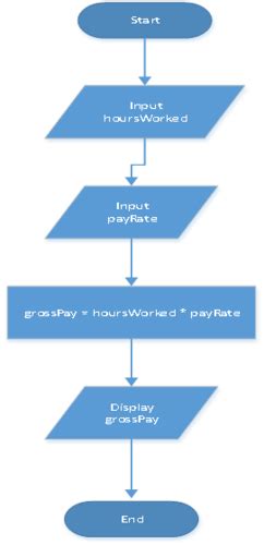 Image result for Programming Life Cycle