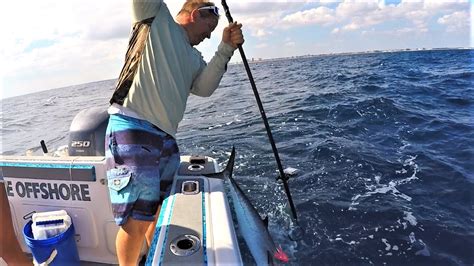 Image result for Fish Fail