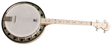 Image result for Learning Notes On 4 String Banjo
