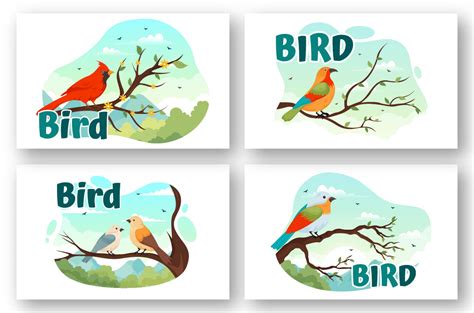 Image result for Bird Vector Question Class 11th
