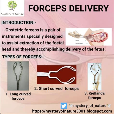 Image result for Types of Forceps