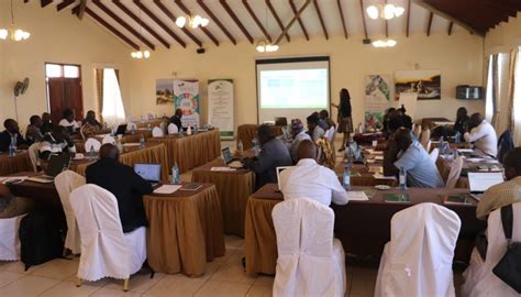 Image result for How to Fill Isfaa Form