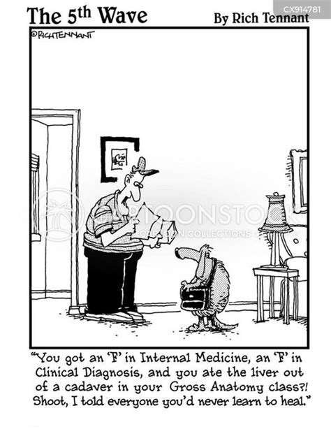 Image result for Dissection Cartoon