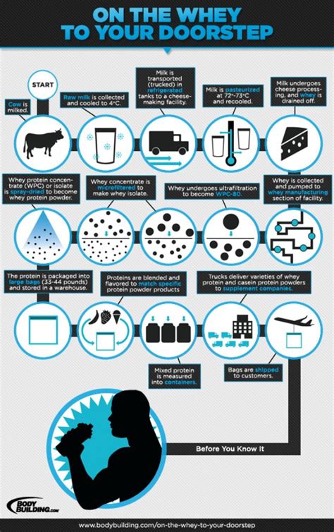 Image result for Protein Powder Making Process