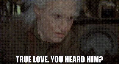 Image result for Princess Bride True Love