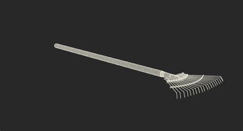 Image result for Springbok Rake