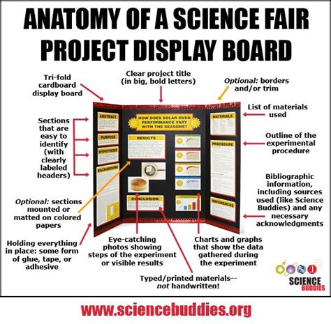 Image result for Science Fair Project Display