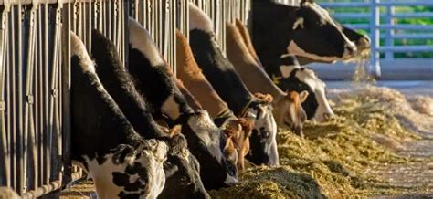 Image result for Hay Box Programmer Not Responding