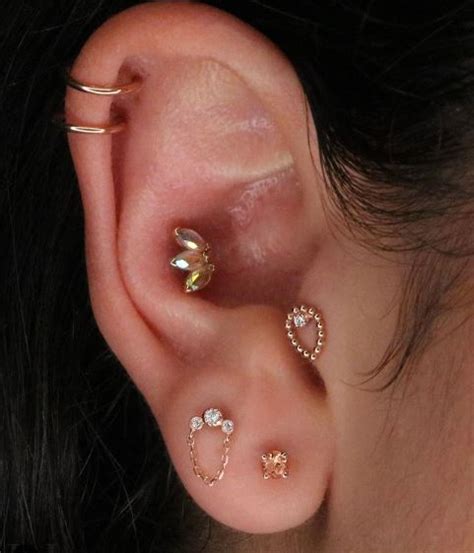 Image result for Conch Piercing