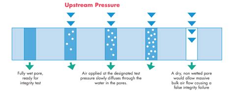 Image result for Bubble Point Filter Integrity Test Chart Diffusion vs Pressure