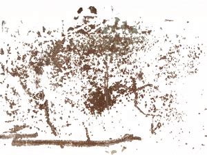 Image result for Rustage PNG