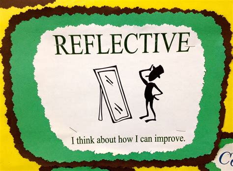 Image result for Example of a Reflection Science