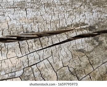 Image result for Split Log Texture