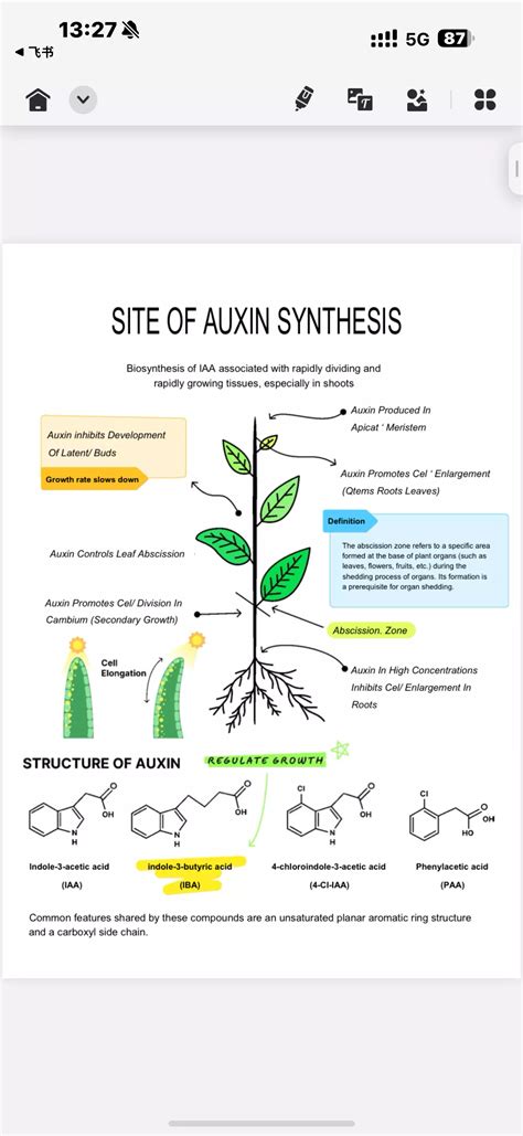 Image result for Nitro PDF Inverted Colors