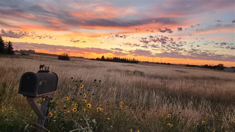 Image result for BSF Get Lesson Questions