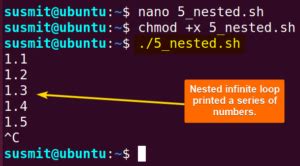Image result for Infinite Loop in Shell Script