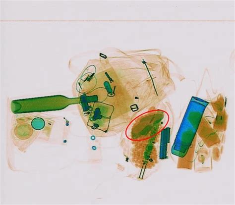 Image result for TSA Computer-based Test