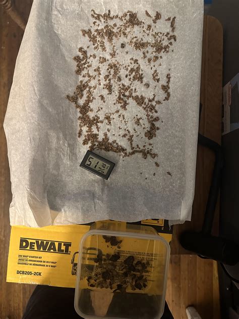 Image result for Drying Out Bubble Hash