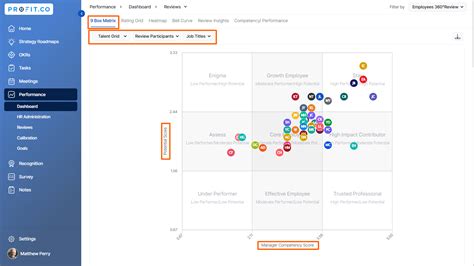 Image result for Performance Matrix Example