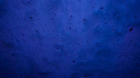 Image result for Auto B Good Squeaky-Clean