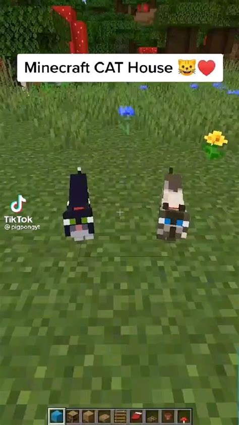 Image result for Cat House Minecraft Tutorial