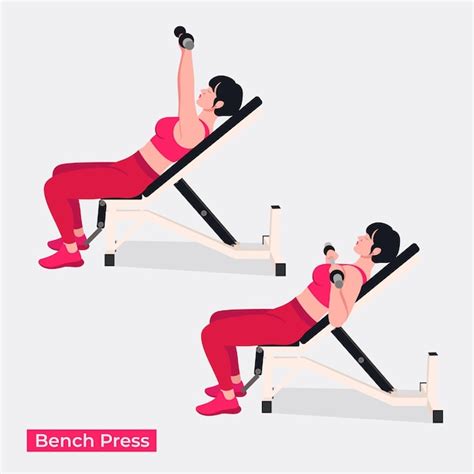 Image result for Workout Lab Graphics Bench Press