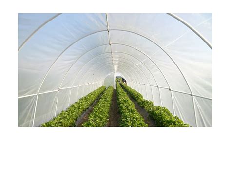 Image result for Perfomance Masterbatch