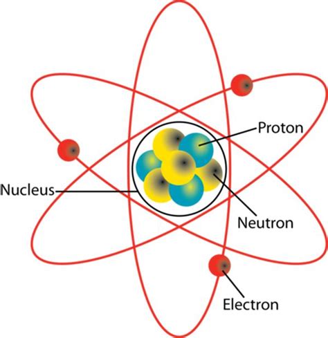 Image result for Web Diagram Example Science