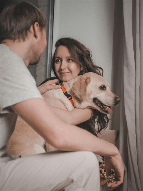 Image result for Best Training Collars for Dogs